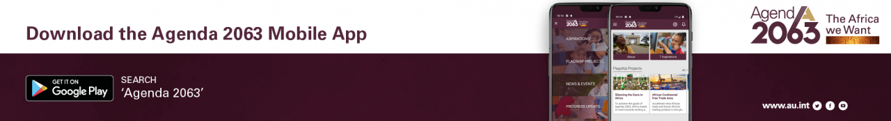 Welcome | Saleema Initiative